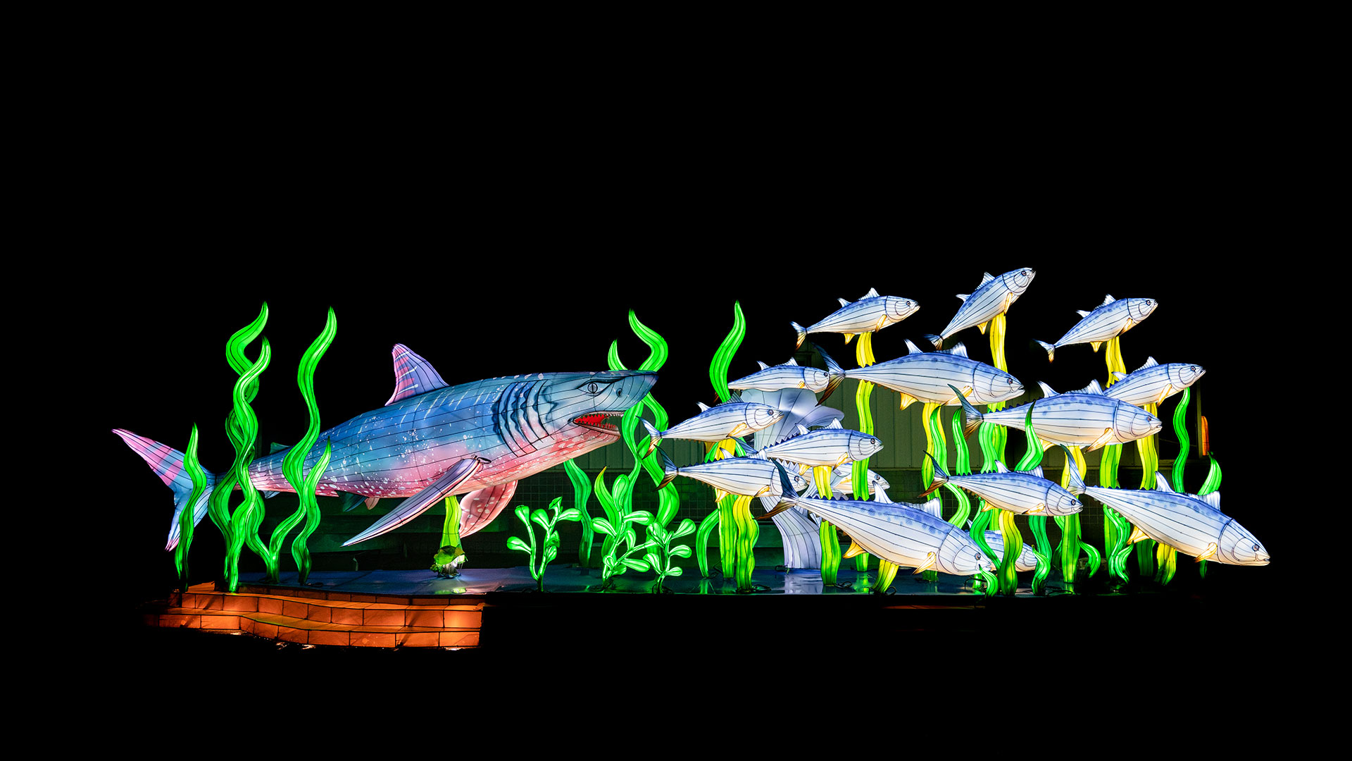 Aqua Lanterns - Clearwater Marine Aquarium