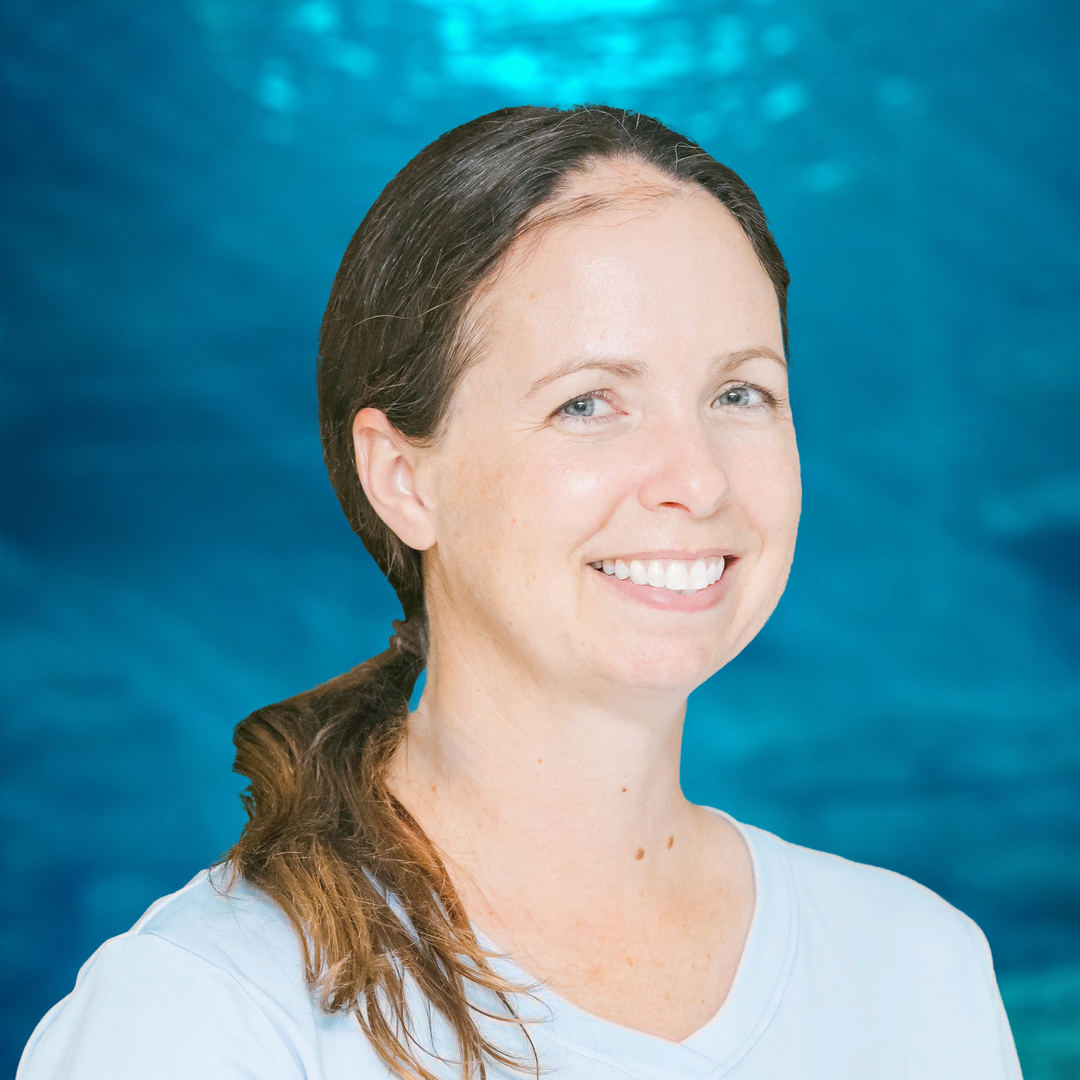 Echoes of the Ocean - Clearwater Marine Aquarium