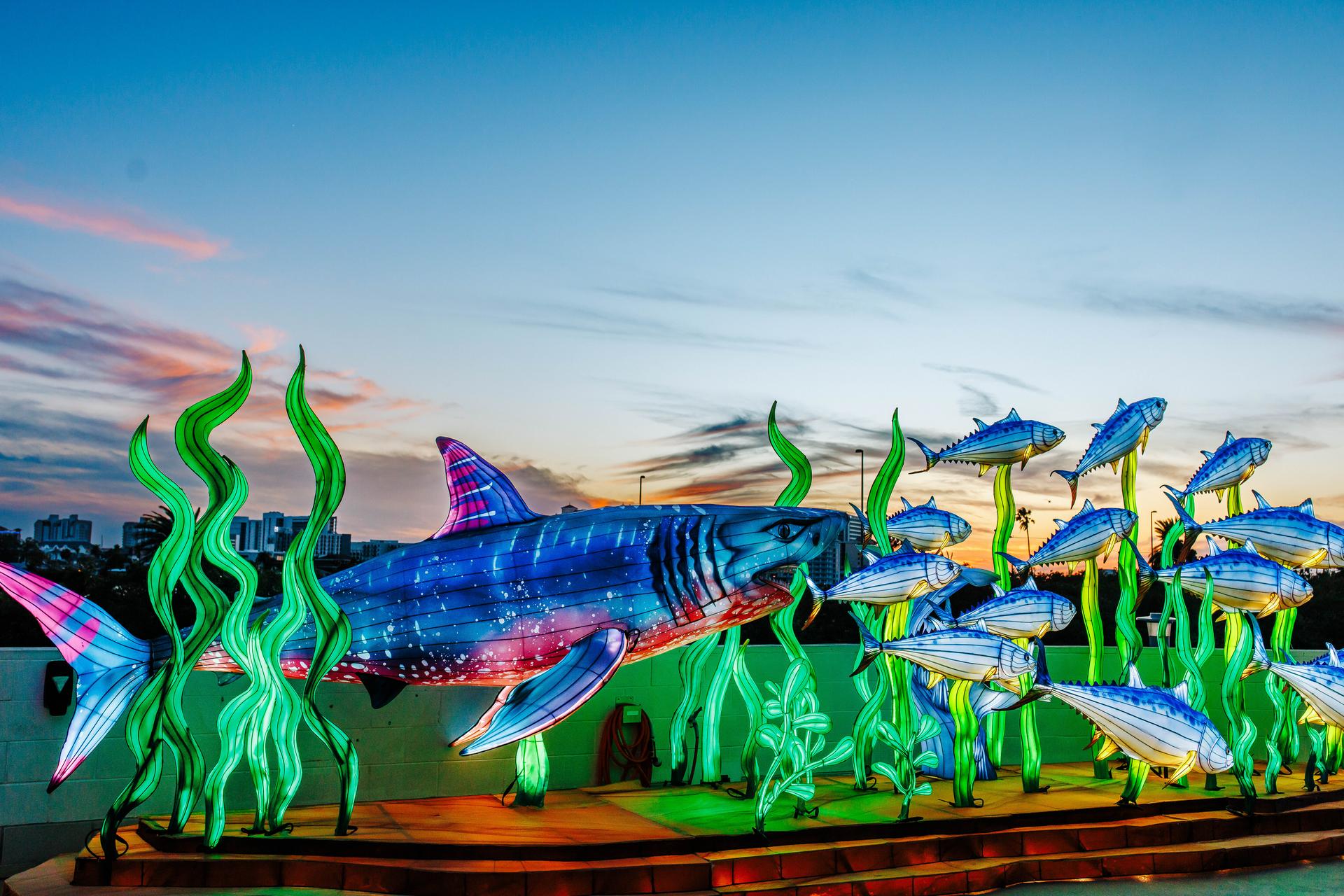 Aqua Lanterns - Clearwater Marine Aquarium