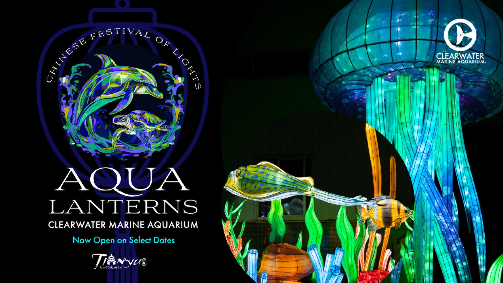 Aqua Lanterns - Clearwater Marine Aquarium