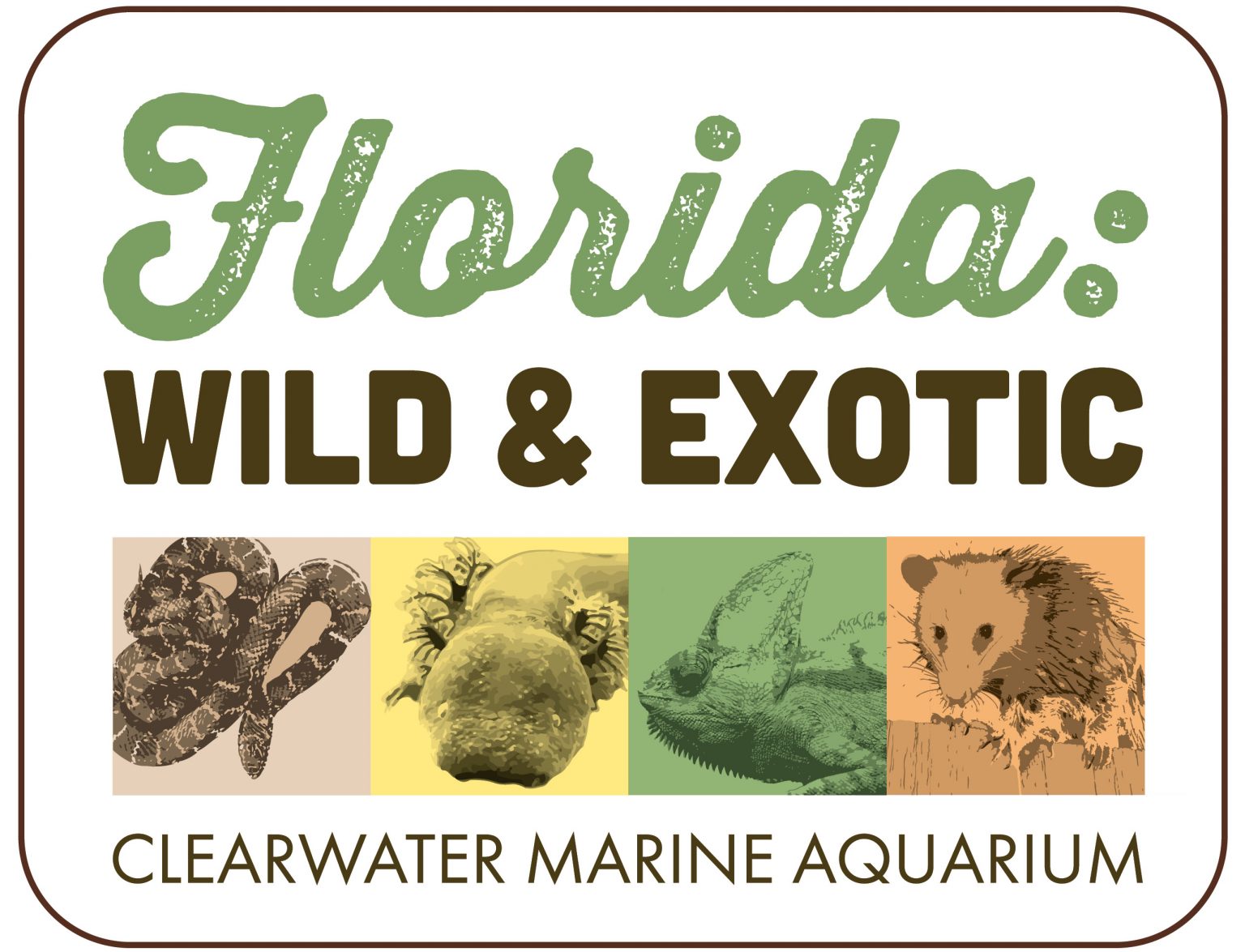 Florida: Wild & Exotic - Clearwater Marine Aquarium