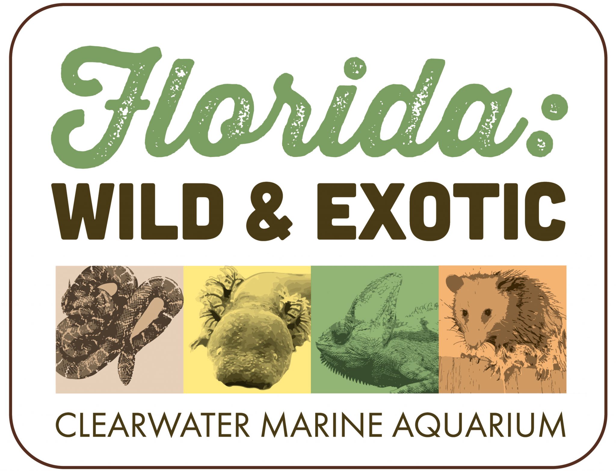 Florida: Wild & Exotic - Clearwater Marine Aquarium