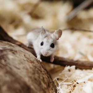 Florida: Wild & Exotic - Clearwater Marine Aquarium