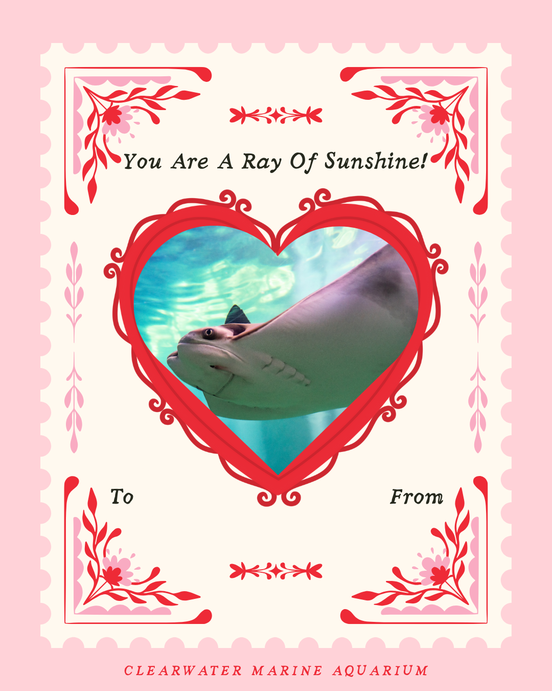 2025 Virtual Valentine's Day Cards - Clearwater Marine Aquarium