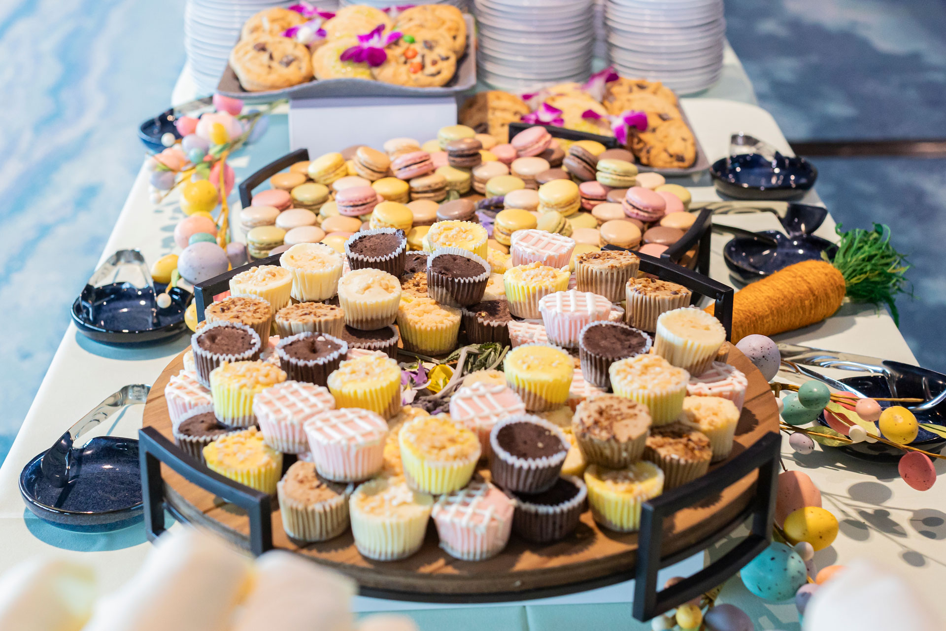 Seaside Easter Breakfast - Clearwater Marine Aquarium