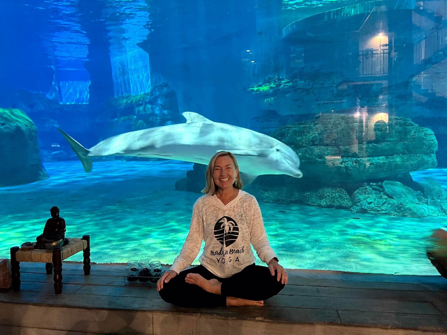 Dolphin Yoga - Clearwater Marine Aquarium