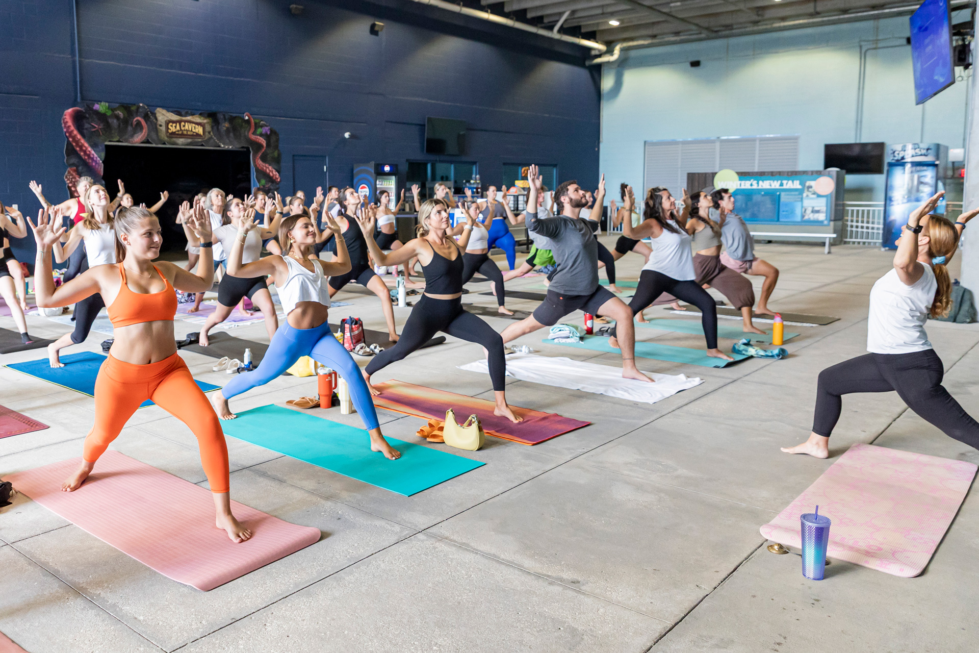 Dolphin Yoga - Clearwater Marine Aquarium